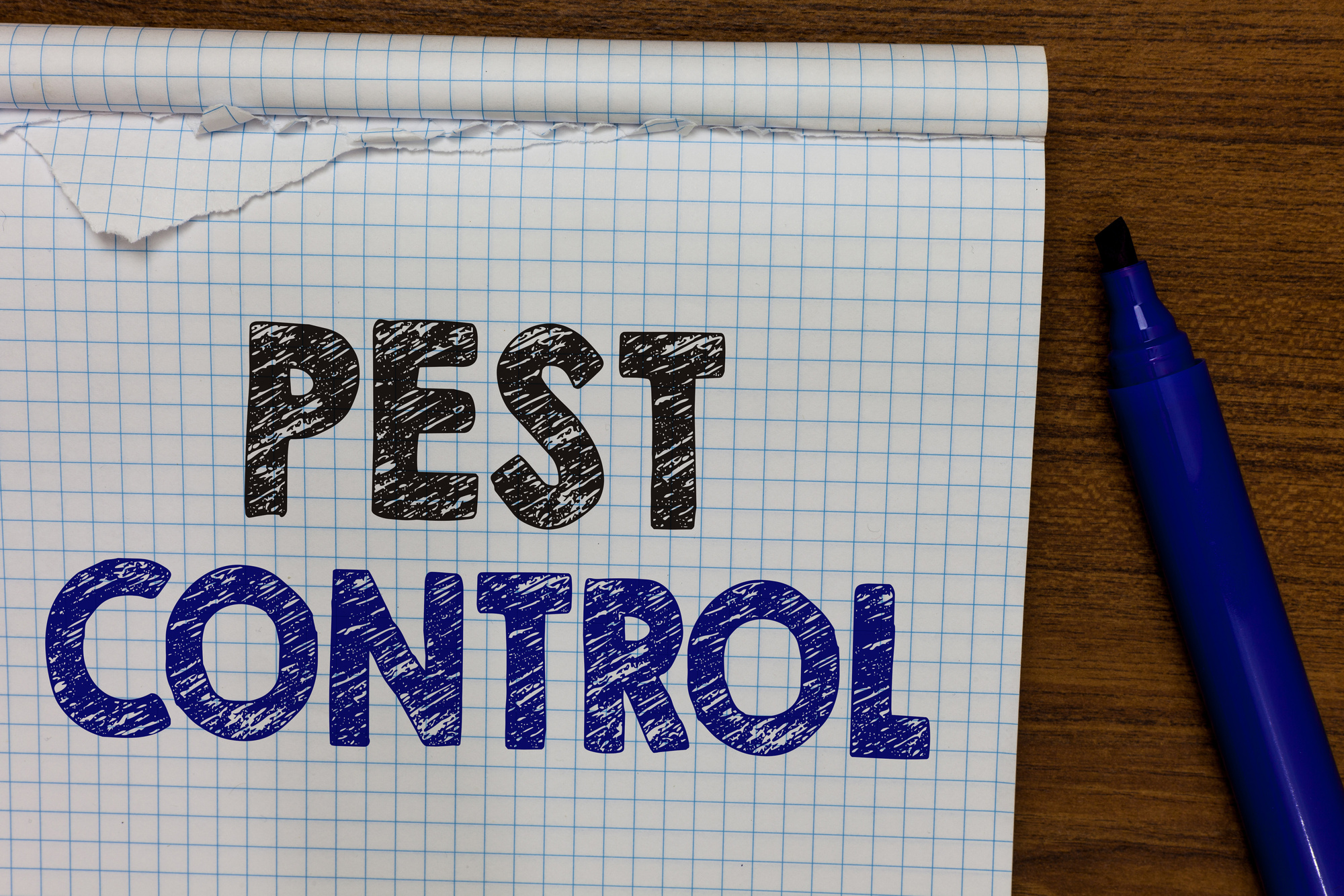 Pest Control Tips: 7 Effective Ways to Keep Your Home Bug Free | Amco ...