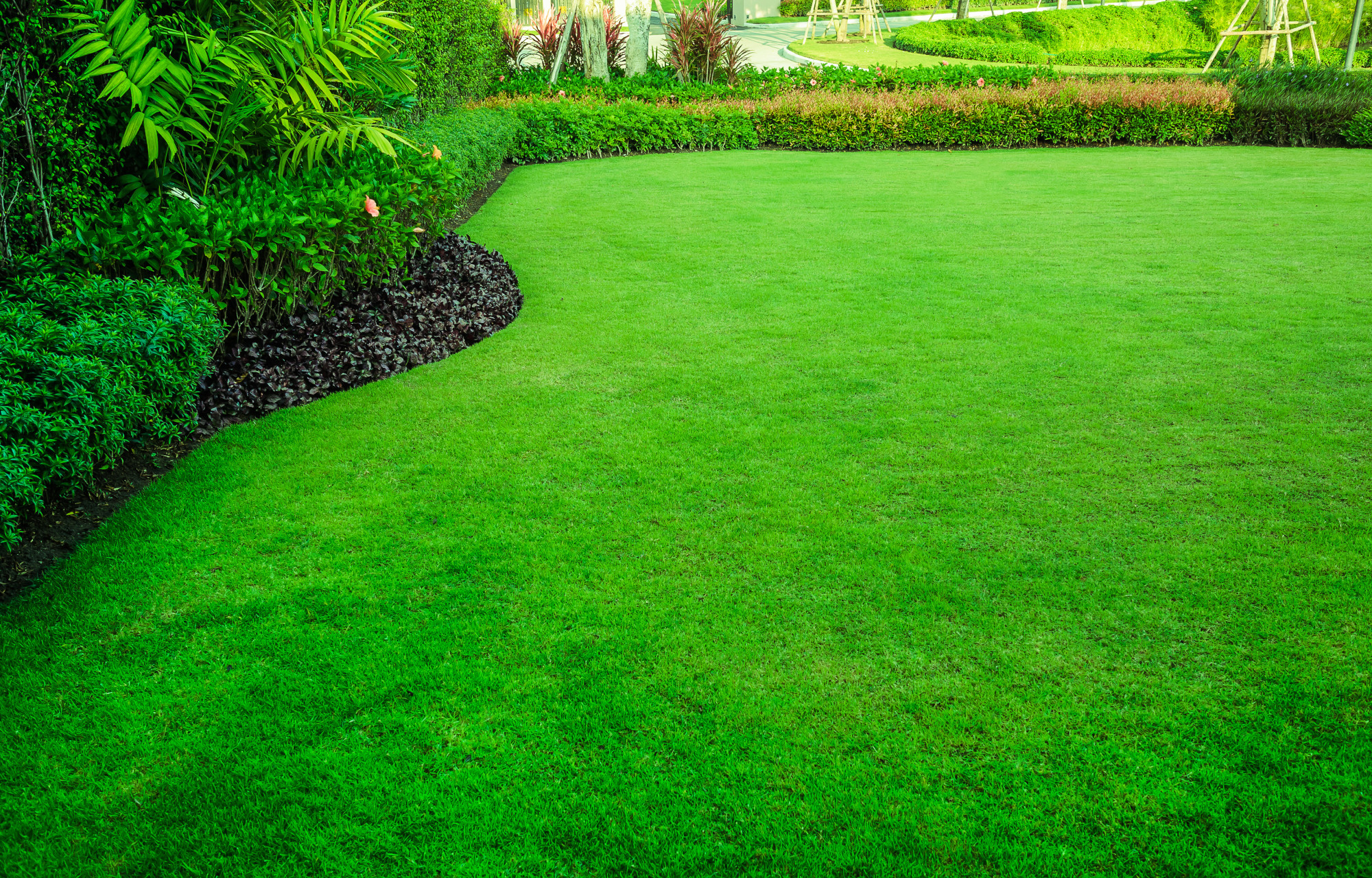 How to Achieve a Healthy Lawn (That Will Have Your Neighbors Envious ...