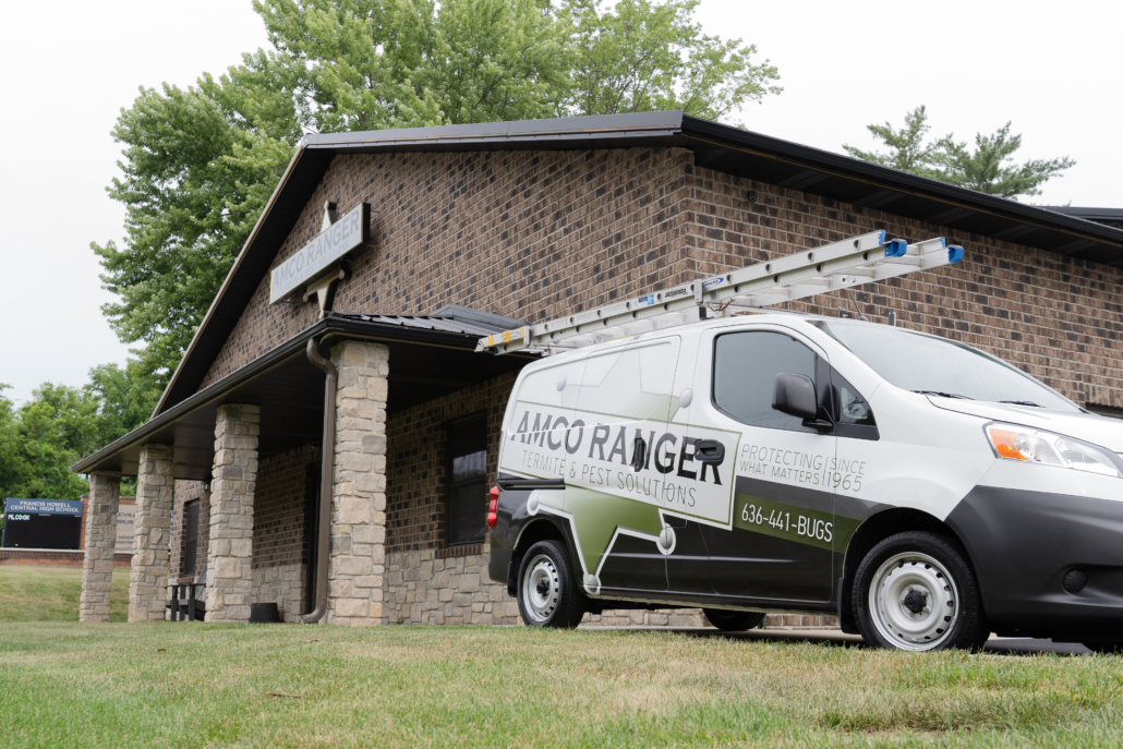 How To Questions | Amco Ranger Termite & Pest Solutions